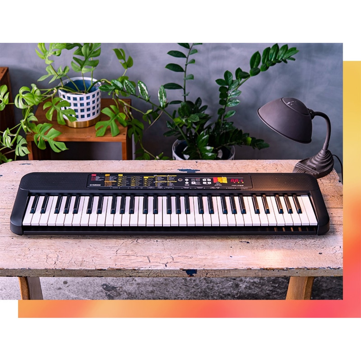 Keyboards | Keyboards/pianos | John Douglas Music